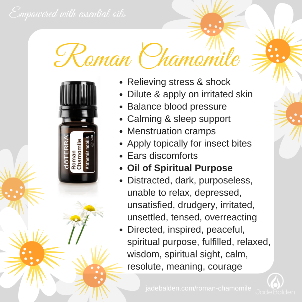 Roman Chamomile | Jade Balden