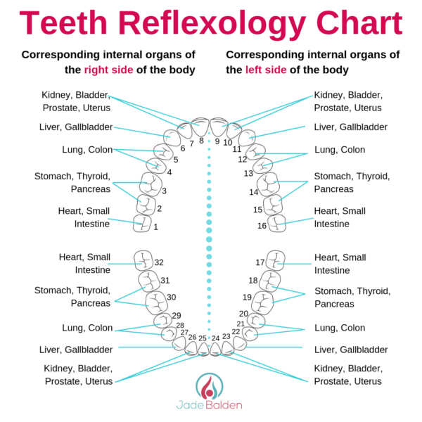 What does your teeth and gums tell you about your health? | Jade Balden